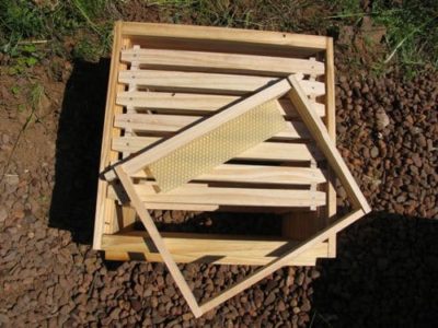 Bringing home the bees - Milkwood: permaculture courses, skills + stories