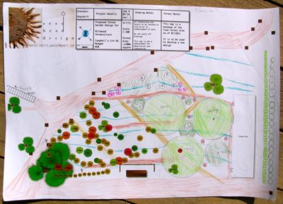 Our forest garden design: the future is forested and foodlike ...