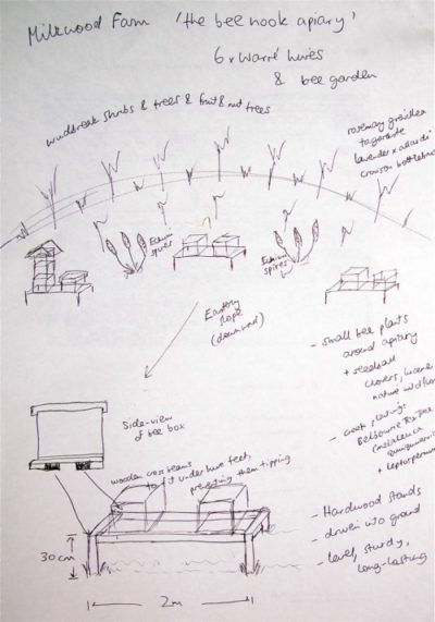 Milkwood Apiary Design Brainstorm - Milkwood: permaculture courses ...