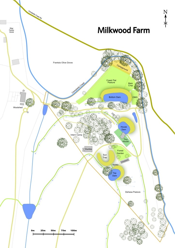 Milkwood Forest Garden: zero to now - Milkwood: permaculture courses ...