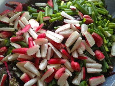 Radical Ferment: Beetroot and Radish Kimchi - Milkwood: permaculture ...