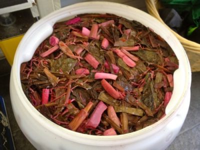Radical Ferment: Beetroot and Radish Kimchi - Milkwood: permaculture ...