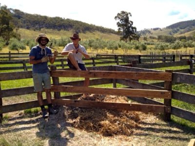 DIY Mulch Pit Greywater System - Milkwood: permaculture courses, skills ...
