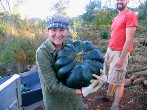 Awesome Permaculture Women: International Womens Day... - Milkwood ...