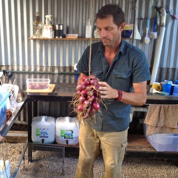 String em up - storing onions - Milkwood: permaculture courses, skills ...