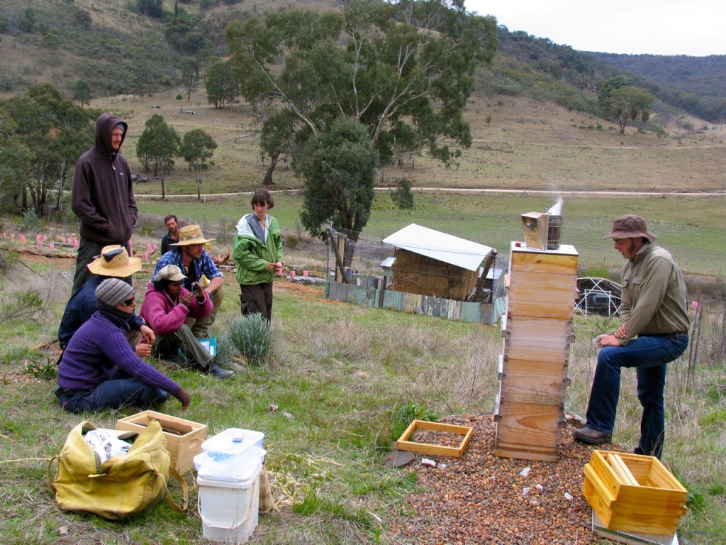 Designing the Warré Apiary at Milkwood Farm - Milkwood: permaculture ...
