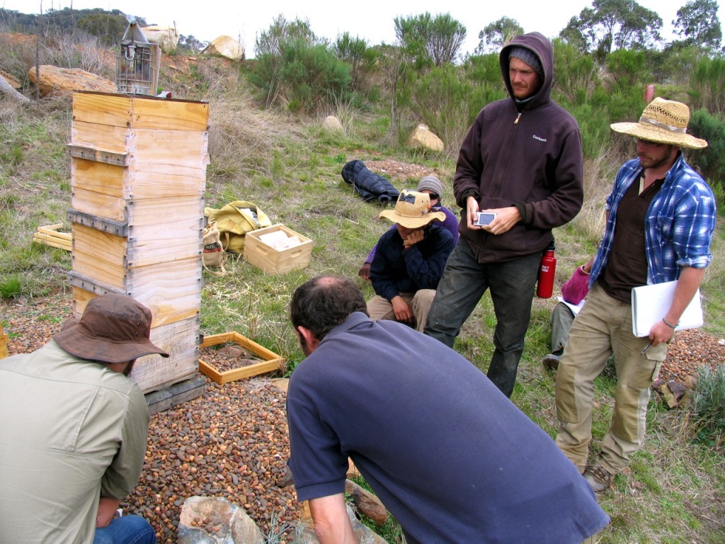 Designing the Warré Apiary at Milkwood Farm - Milkwood: permaculture ...
