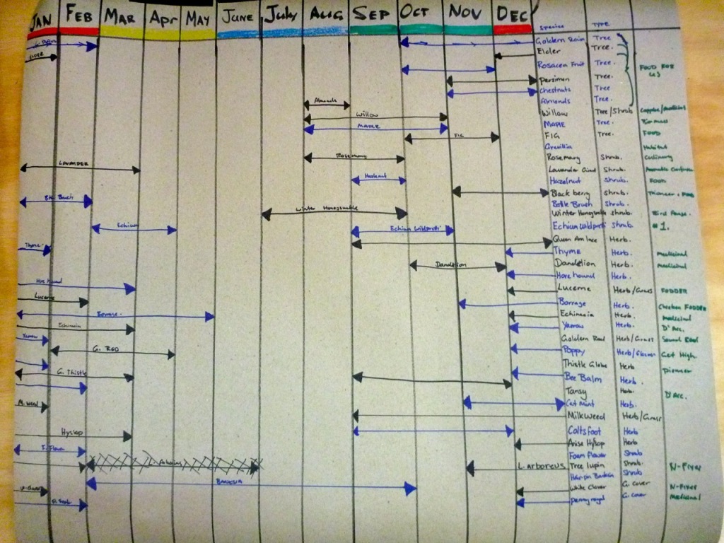 Designing the Warré Apiary at Milkwood Farm - Milkwood: permaculture ...