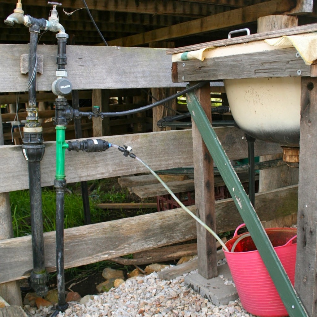 Vertigation: Worm Juice Irrigation for Your Kitchen Garden - Milkwood ...