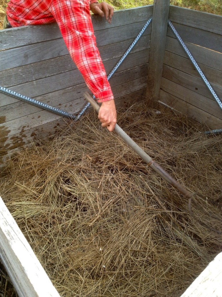 Building a Jenkins-style Lovable Loo for the Tinyhouse - Milkwood ...