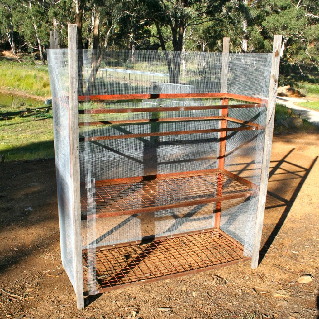 How not to get eaten by Rats, if you're a Seedling - Milkwood ...