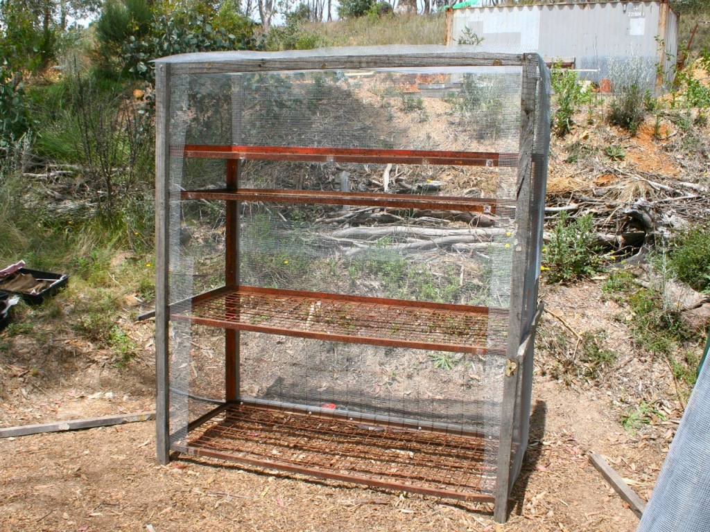 How not to get eaten by Rats, if you're a Seedling - Milkwood ...