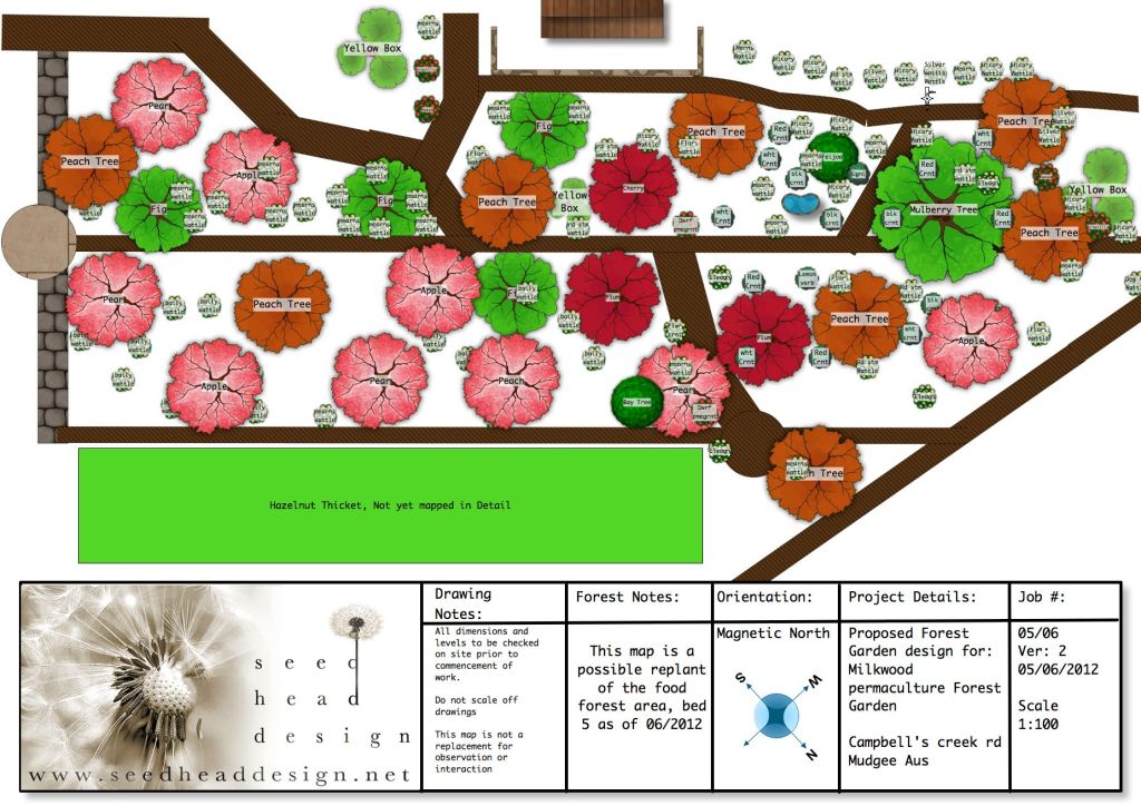 Announcing our Forest Garden & Silviculture internships - Milkwood ...