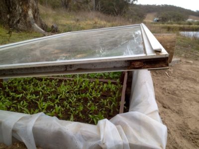 Making cold frames from glass doors - Milkwood: permaculture courses ...