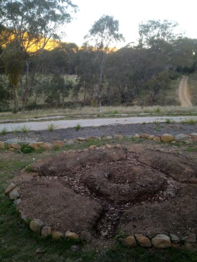 Designing a MicroForest Garden - Milkwood: permaculture courses, skills ...