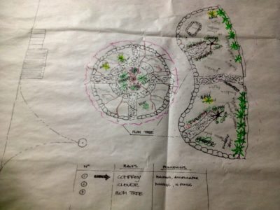 Designing a MicroForest Garden - Milkwood: permaculture courses, skills ...