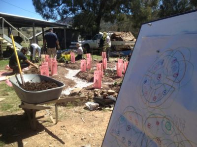 Designing a MicroForest Garden - Milkwood: permaculture courses, skills ...