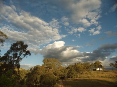 What happens at a Milkwood Permaculture Design Course? - Milkwood ...