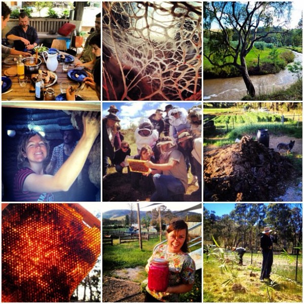 12 Months of Milkwood - Milkwood: permaculture courses, skills + stories
