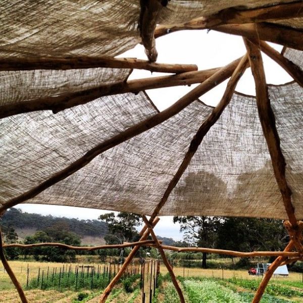 Building our first roundhouse - Milkwood: permaculture courses, skills ...