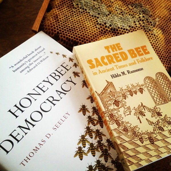 Honeybee Democracy & The Sacred Bee: two great bee books - Milkwood ...