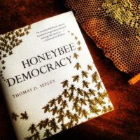 Honeybee Democracy & The Sacred Bee: two great bee books - Milkwood ...