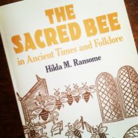 Honeybee Democracy & The Sacred Bee: two great bee books - Milkwood ...