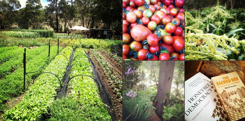 Milkwood is on Instagram - Milkwood: permaculture courses, skills + stories