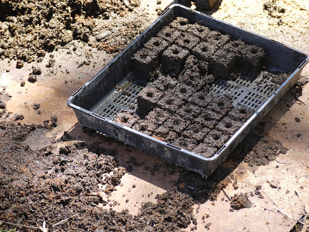 Growing new growers in the Milkwood Market Garden - Milkwood ...