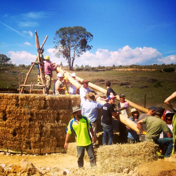 Roundhouse build: making a Reciprocal Roof - Milkwood: permaculture ...