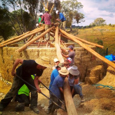 Roundhouse build: making a Reciprocal Roof - Milkwood: permaculture ...