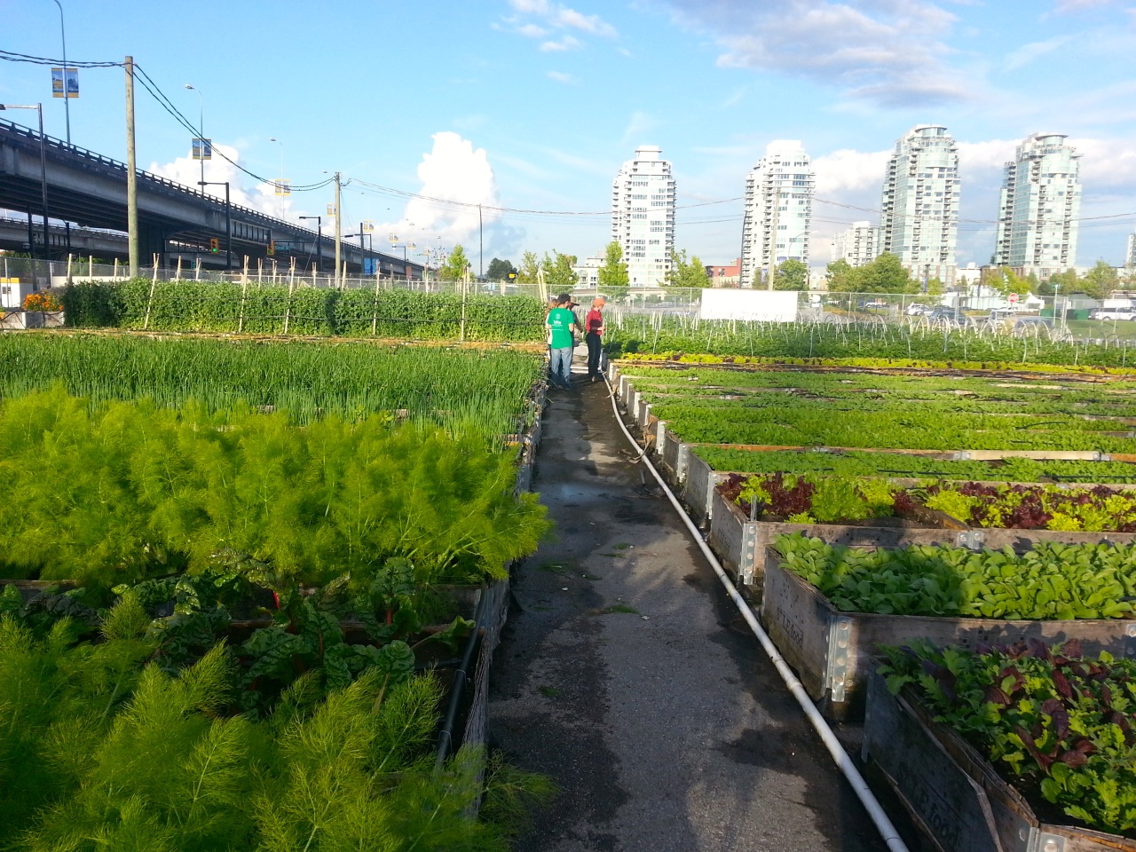 Portable Urban Farming. For real. - Milkwood: permaculture courses ...