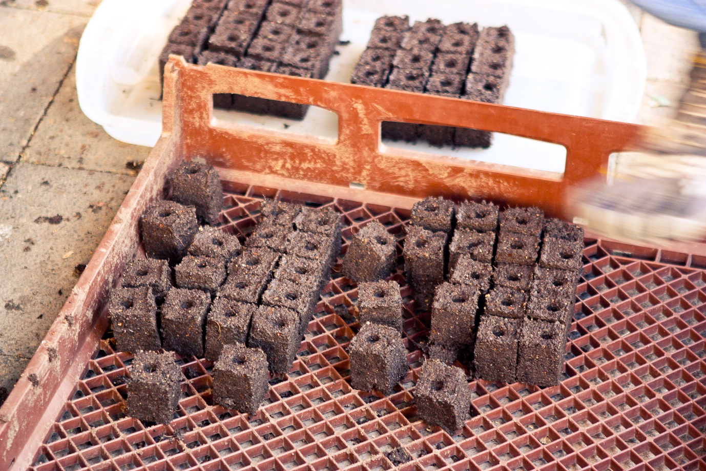 What grows better in Soil Blocks? - Milkwood: permaculture courses ...