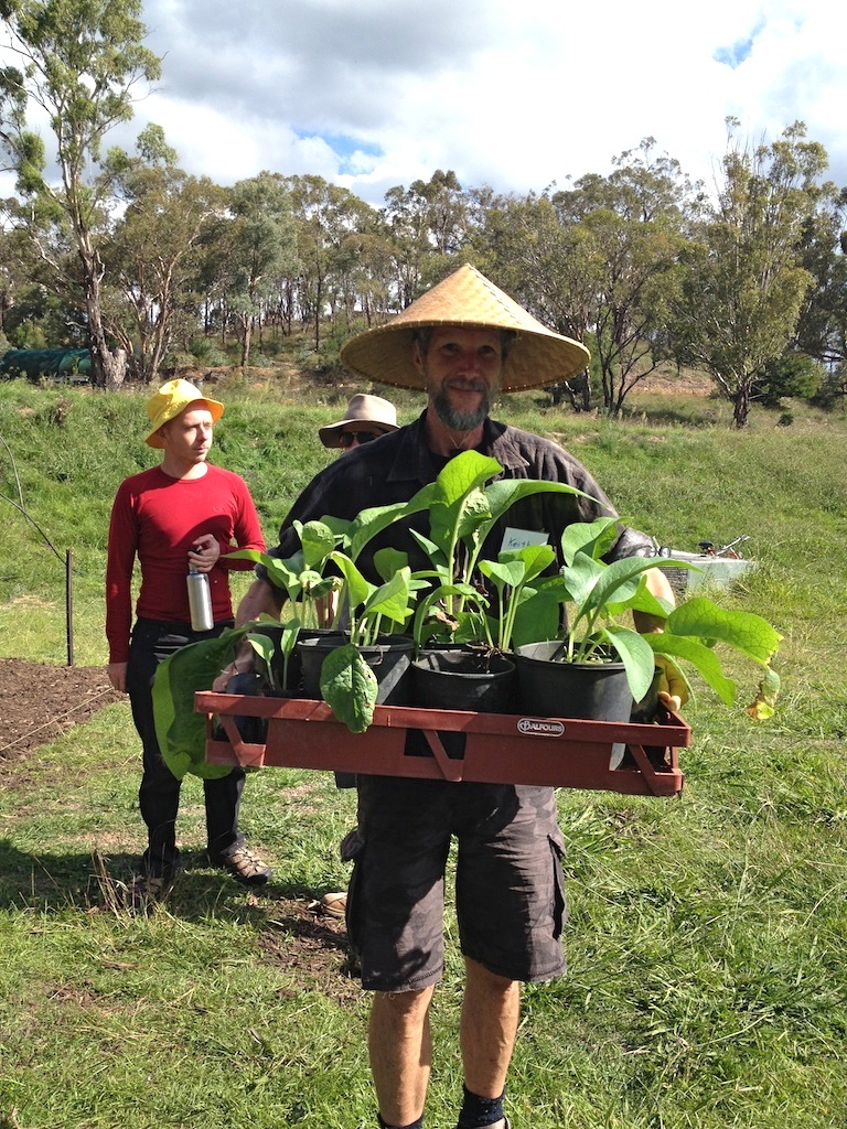 Designing Like a Forest (we're hooked) - Milkwood: permaculture courses ...
