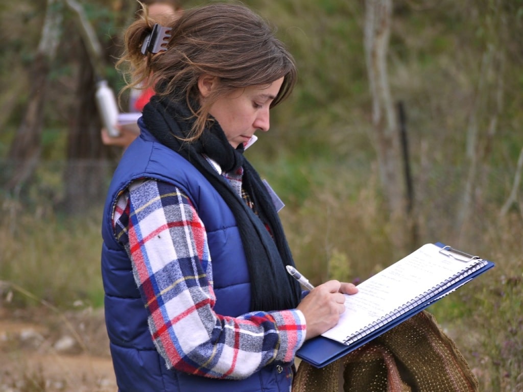 Designing Like a Forest (we're hooked) - Milkwood: permaculture courses ...