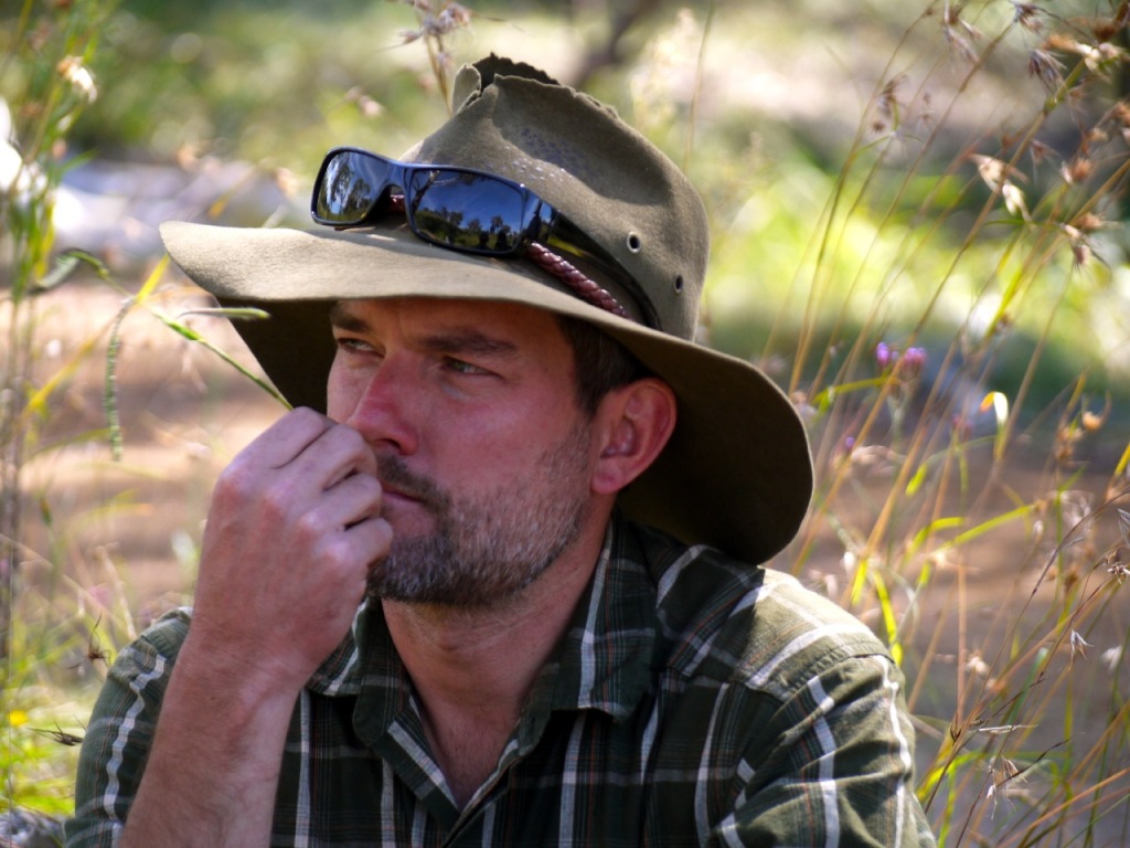 Designing Like a Forest (we're hooked) - Milkwood: permaculture courses ...