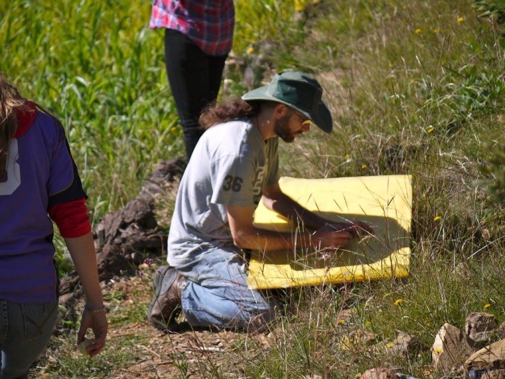 Designing Like a Forest (we're hooked) - Milkwood: permaculture courses ...