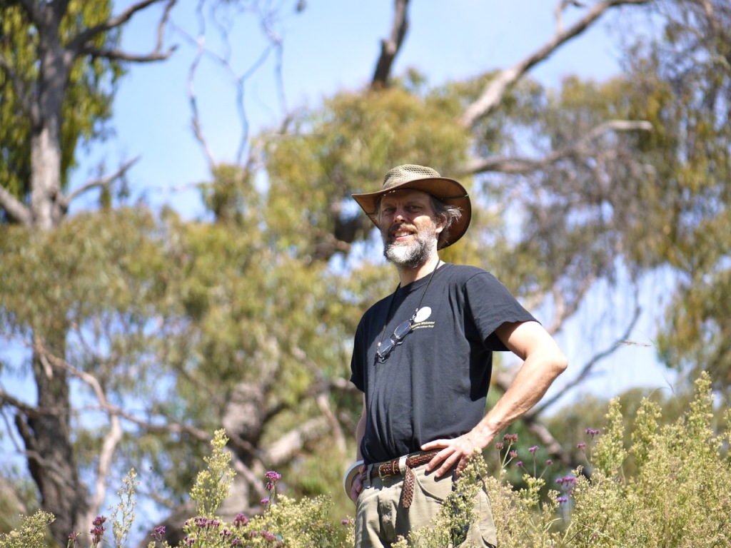 Designing Like a Forest (we're hooked) - Milkwood: permaculture courses ...