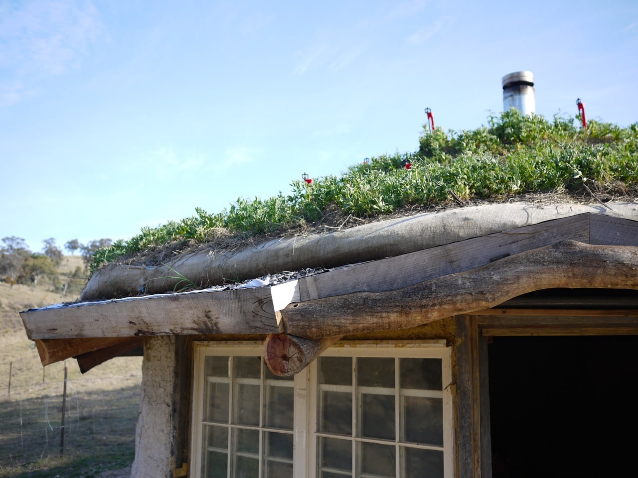 Roundhouse build: making a Living Roof - Milkwood