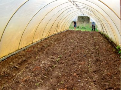Why Movable Greenhouses are a Great Idea - Milkwood: permaculture ...