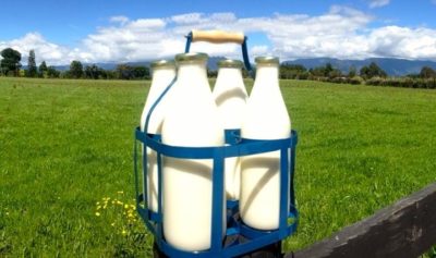 Check out this Farm Gate Raw Milk Dispenser - Milkwood: permaculture ...