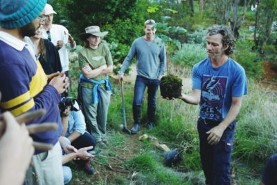 How to plant a tree, Milkwood style - Milkwood: permaculture courses ...