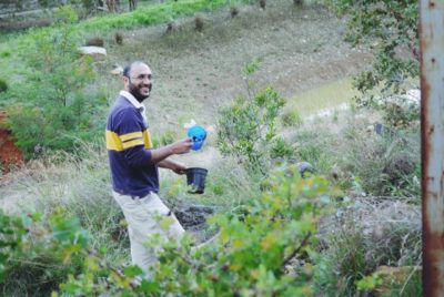 How to plant a tree, Milkwood style - Milkwood: permaculture courses ...