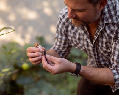 Planthunter interview with Nick Ritar - Milkwood: permaculture courses ...