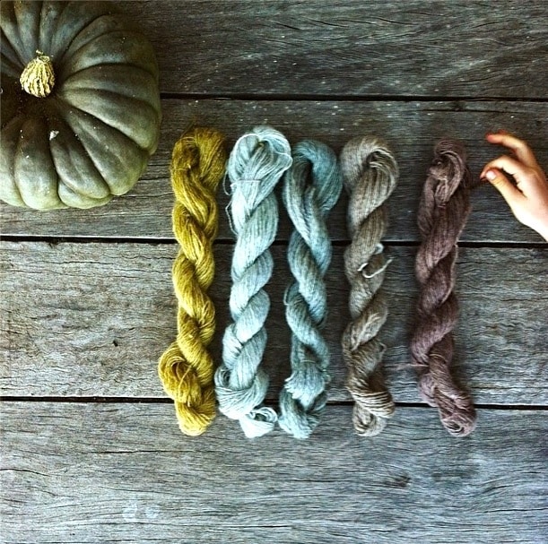 Experiments in Colour: DIY Plant Dyes - Milkwood: permaculture courses ...