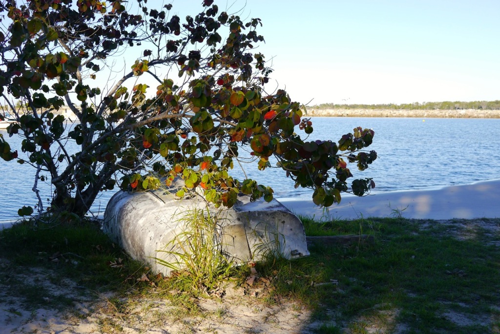 A wanderer's guide to Iluka - Milkwood: permaculture courses, skills ...