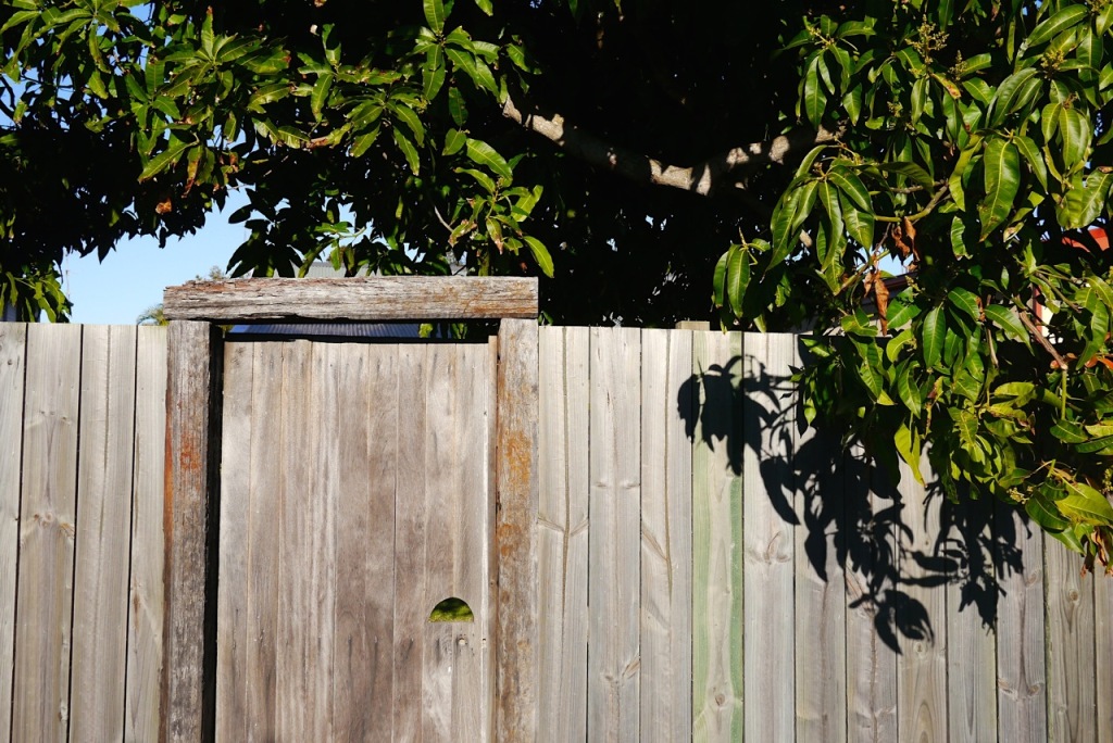 A wanderer's guide to Iluka - Milkwood: permaculture courses, skills ...