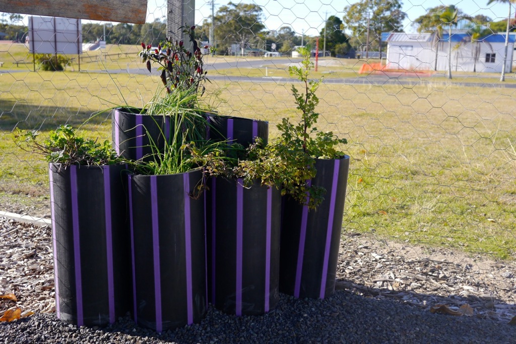 A wanderer's guide to Iluka - Milkwood: permaculture courses, skills ...