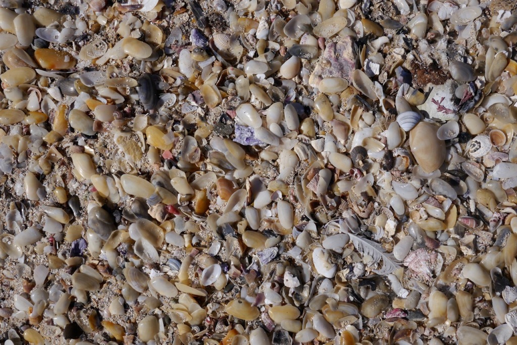 A wanderer's guide to Iluka - Milkwood: permaculture courses, skills ...