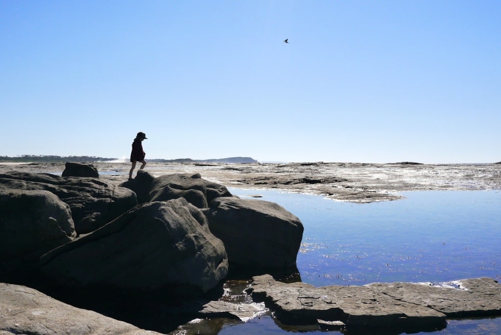 A wanderer's guide to Iluka - Milkwood: permaculture courses, skills ...